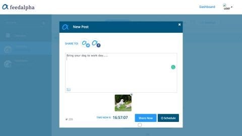 How To: Post On Twitter - feedalpha | Social Media Automation