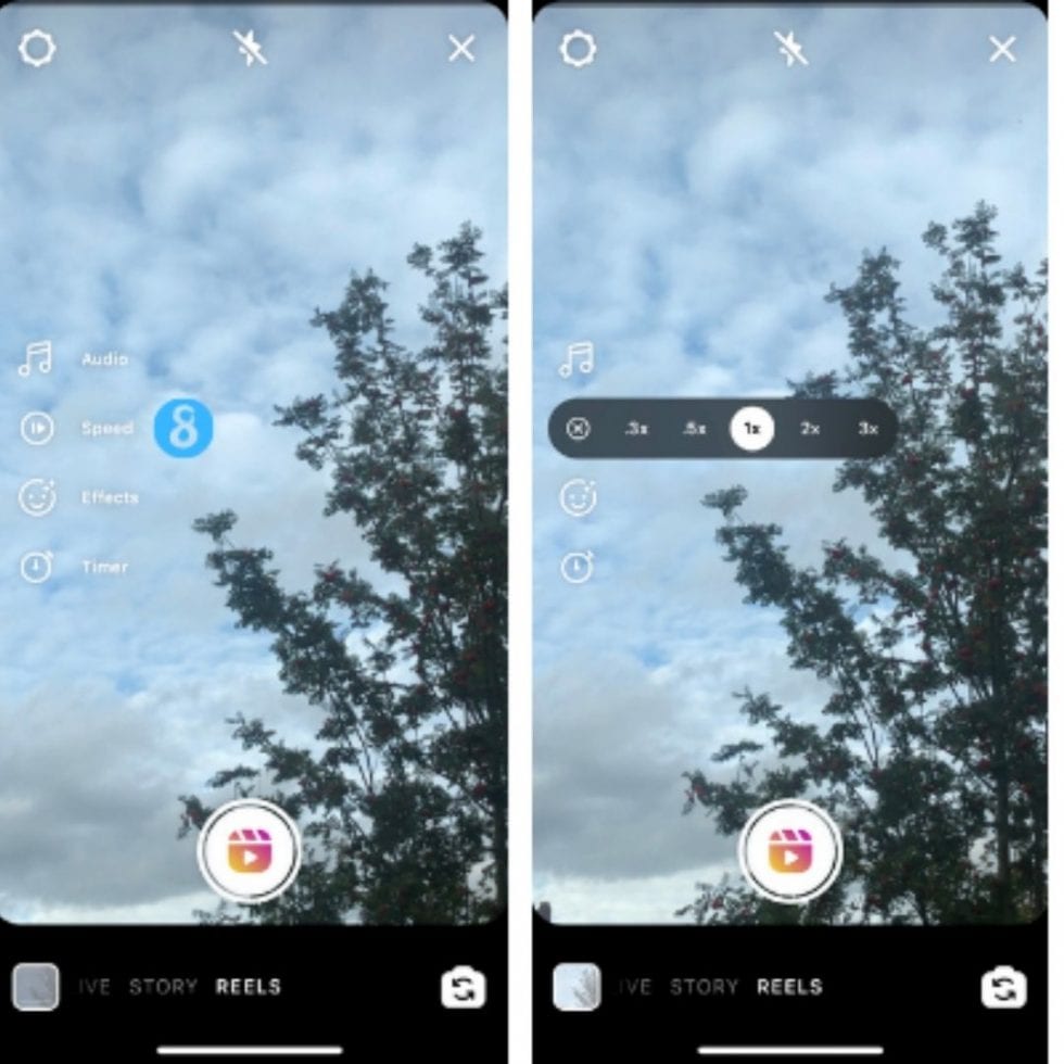 A Guide to Instagram Reels - feedalpha | Social Media Automation