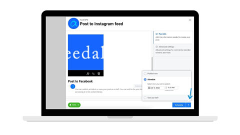 How To Schedule A Post To Facebook - feedalpha | Social Media Automation