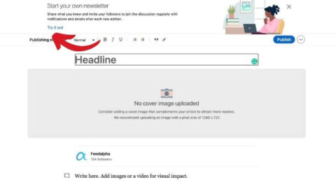 How To Create A LinkedIn Newsletter - A Complete Guide - feedalpha ...
